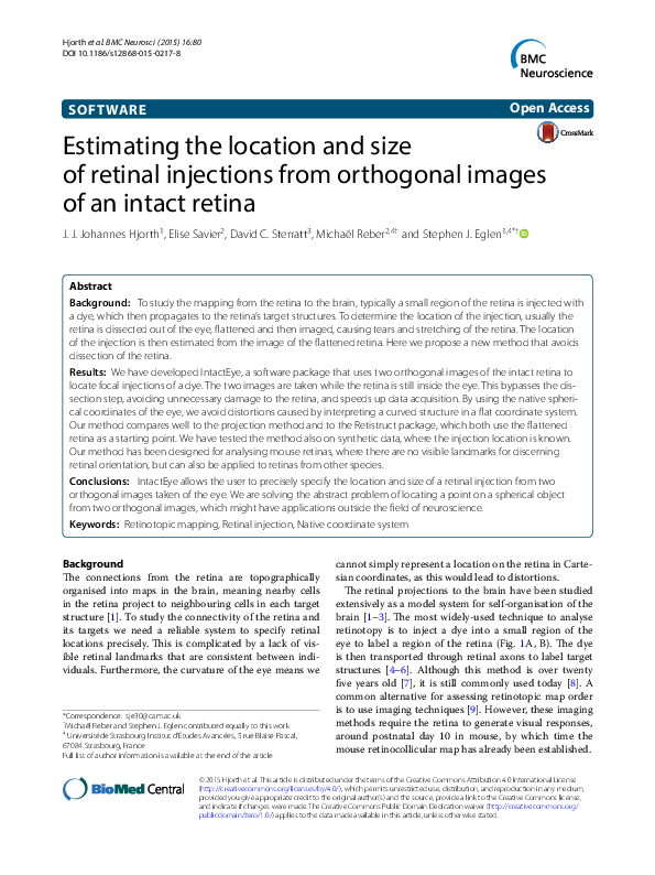 (PDF) Estimating the location and size of retinal injections from ...