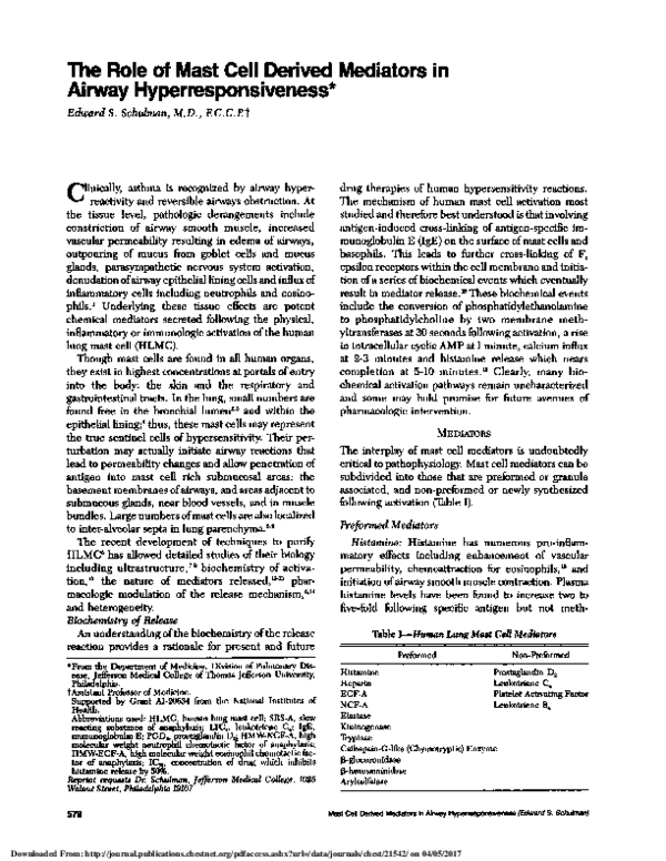 (PDF) The Role of Mast Cell Derived Mediators in Airway Hyperresponsiveness