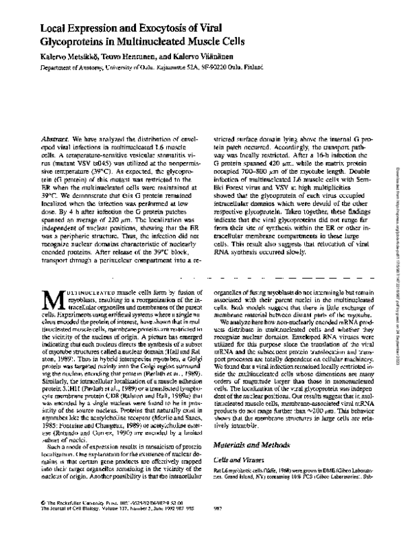 (PDF) Local expression and exocytosis of viral glycoproteins in ...
