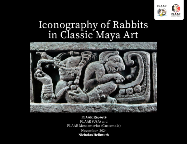(PDF) Iconography of Rabbits in Classic Maya Art