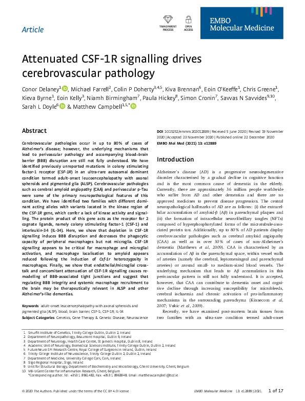 (PDF) Attenuated CSF‐1R signalling drives cerebrovascular pathology