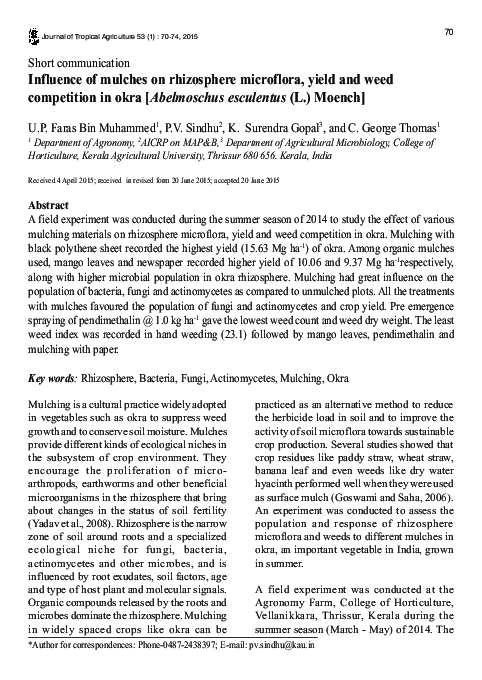 (PDF) Influence of mulches on rhizosphere microflora, yield and weed ...