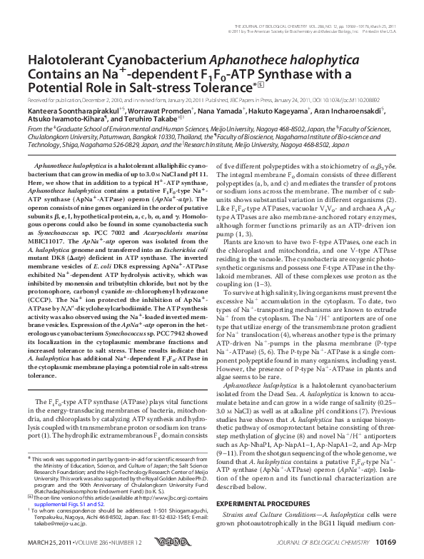 (PDF) Halotolerant Cyanobacterium Aphanothece halophytica Contains an ...