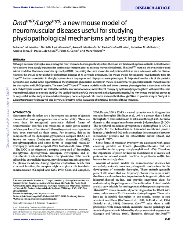 (PDF) Dmdm(dx)/Large(myd): a new mouse model of neuromuscular diseases ...