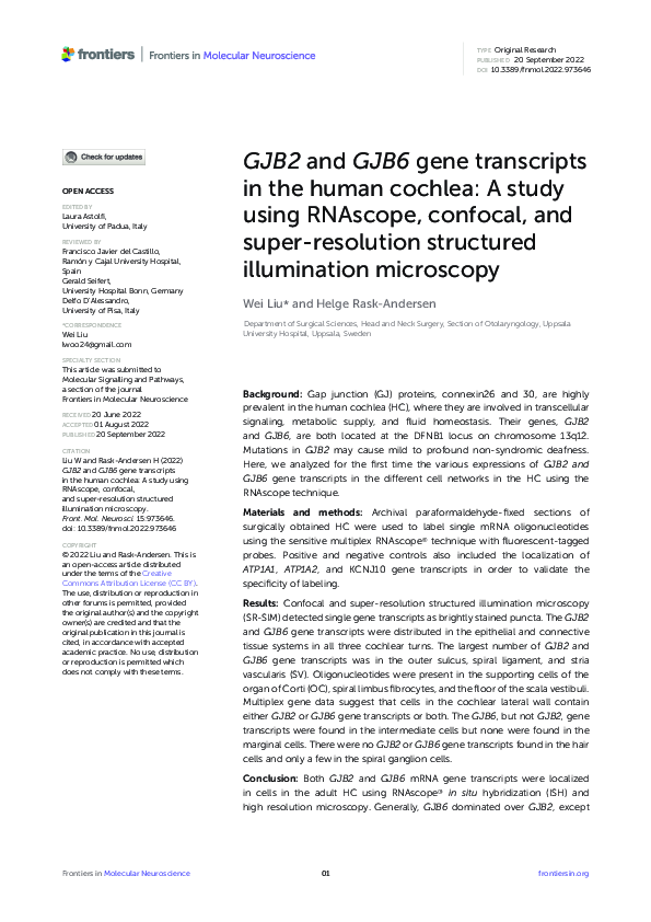 (PDF) GJB2 and GJB6 gene transcripts in the human cochlea: A study ...