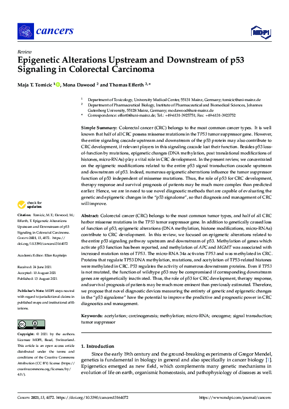 (PDF) Epigenetic Alterations Upstream and Downstream of p53 Signaling in Colorectal Carcinoma