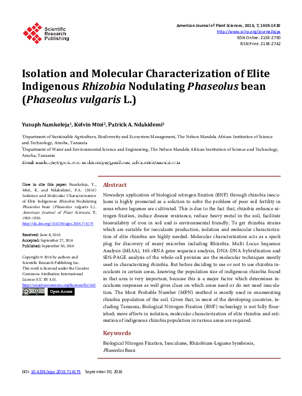 (PDF) Isolation and Molecular Characterization of Elite Indigenous Rhizobia Nodulating Phaseolus ...