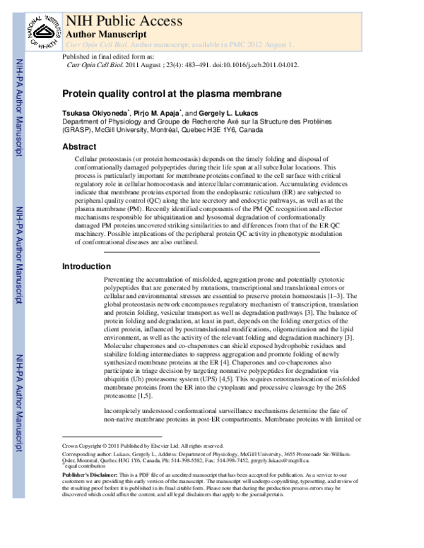 Protein quality control at the plasma membrane