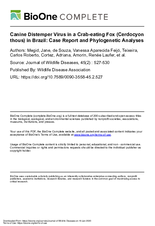 Canine Distemper Virus in a Crab-eating Fox (Cerdocyon thous) in Brazil ...