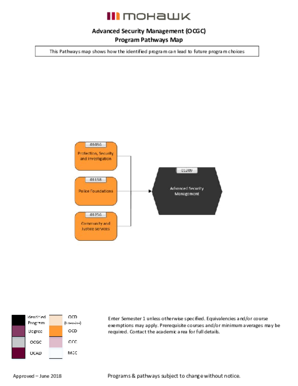 (PDF) Advanced security management