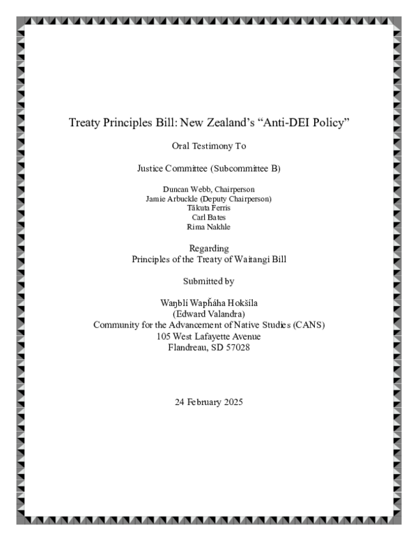 (PDF) Treaty Principles Bill: New Zealand's "Anti-DEI Policy"