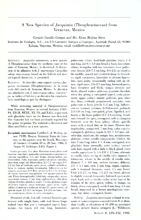 (PDF) A New Species of Jacquinia (Theophrastaceae) from Veracruz, Mexico