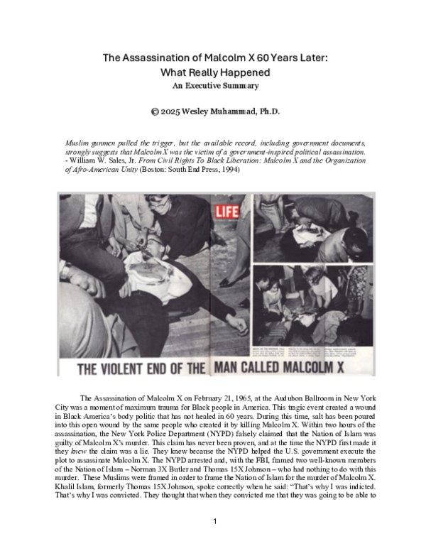 (PDF) The Assassination of Malcolm X 60 Years Later: What Really Happened