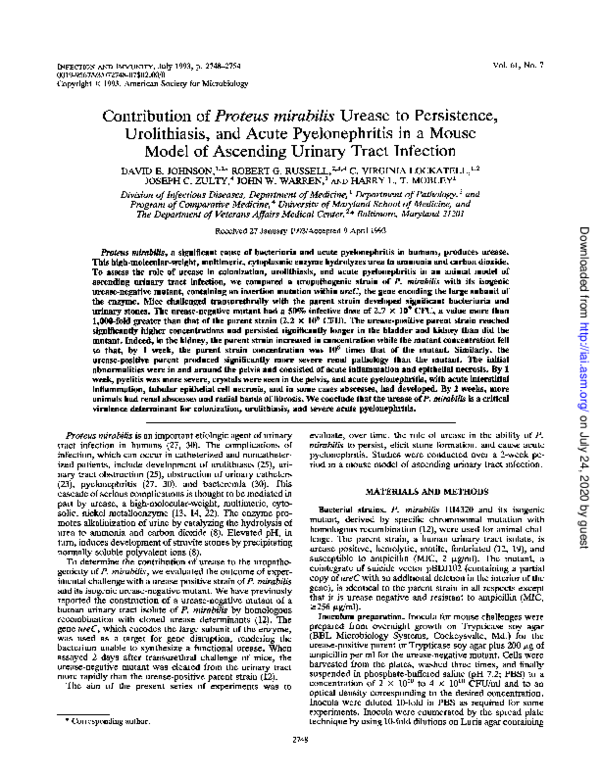 (PDF) Contribution of Proteus mirabilis urease to persistence ...