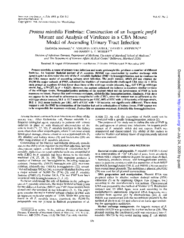 Proteus mirabilis fimbriae: construction of an isogenic pmfA mutant and ...