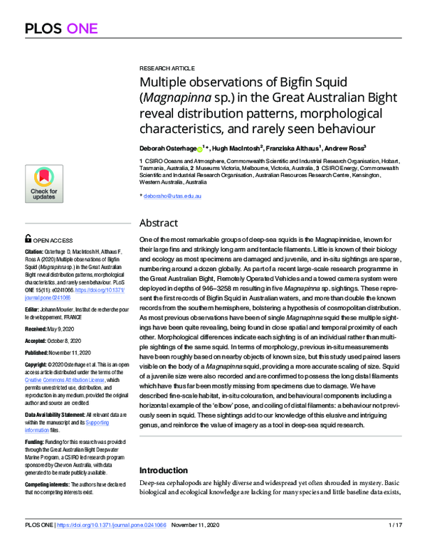(PDF) Multiple observations of Bigfin Squid (Magnapinna sp.) in the ...