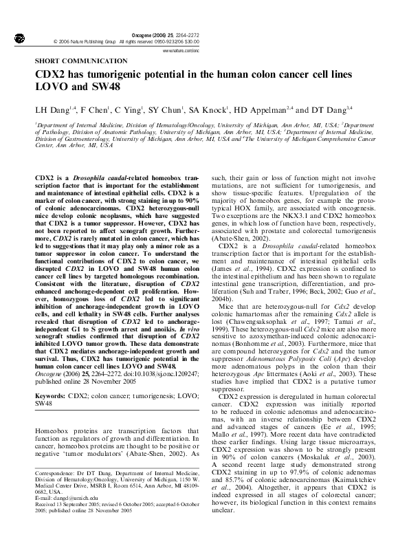 (PDF) CDX2 has tumorigenic potential in the human colon cancer cell ...