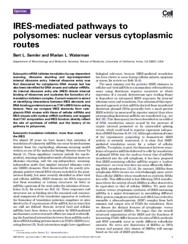 (PDF) IRES-mediated pathways to polysomes: nuclear versus cytoplasmic ...
