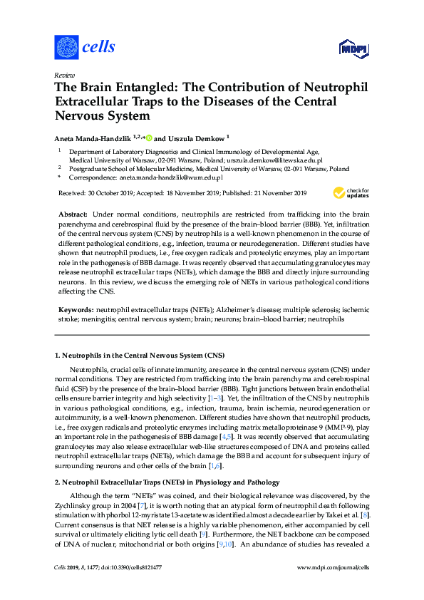 (PDF) The Brain Entangled: The Contribution of Neutrophil Extracellular Traps to the Diseases of ...