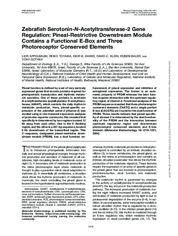 (PDF) Zebrafish Serotonin- N -Acetyltransferase-2 Gene Regulation ...