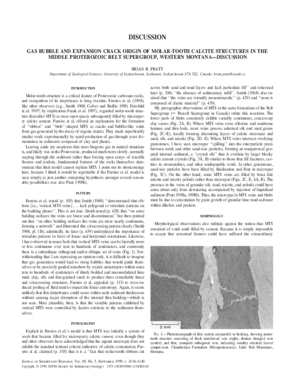 (PDF) Gas Bubble and Expansion Crack Origin of Molar-Tooth Calcite ...