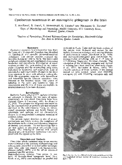 (PDF) Cysticercus racemosus in an eosinophilic phlegmon in the brain