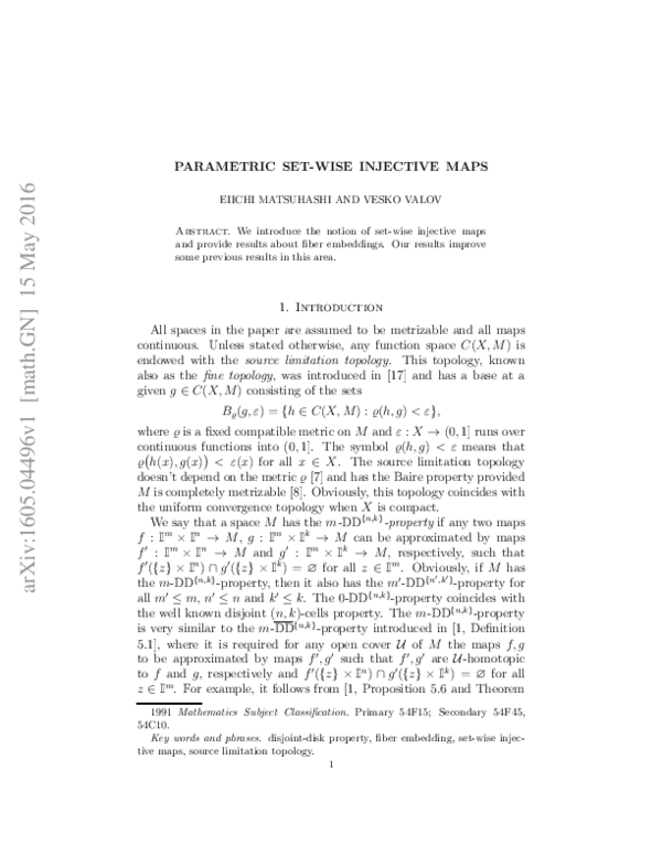 (PDF) Parametric set-wise injective maps
