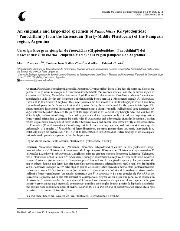 (PDF) An enigmatic and large-sized specimen of Panochthus ...