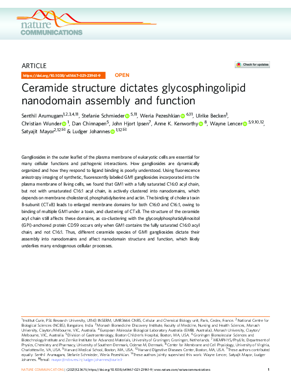 (PDF) Ceramide structure dictates glycosphingolipid nanodomain assembly ...