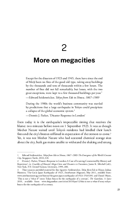 (PDF) More on megacities