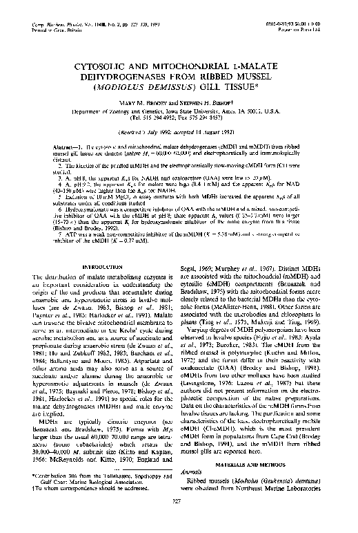 Cytosolic and mitochondrial l-malate dehydrogenases from ribbed mussel ...