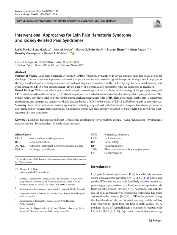 Interventional Approaches for Loin Pain Hematuria Syndrome and Kidney ...
