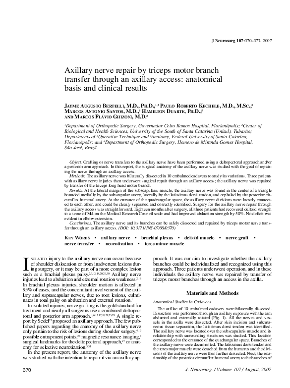 (PDF) Axillary nerve repair by triceps motor branch transfer through an ...