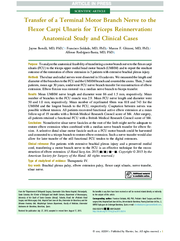 (PDF) Transfer of a Terminal Motor Branch Nerve to the Flexor Carpi ...