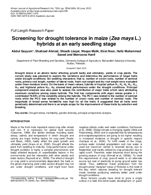 (PDF) Screening for drought tolerance in maize (Zea mays L.) hybrids at an early seedling stage