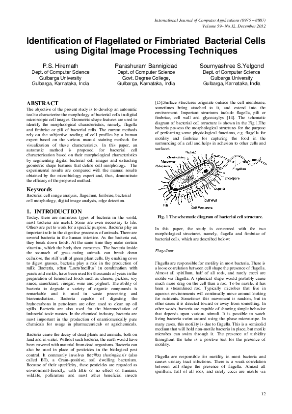 Identification of Flagellated or Fimbriated Bacterial Cells using ...