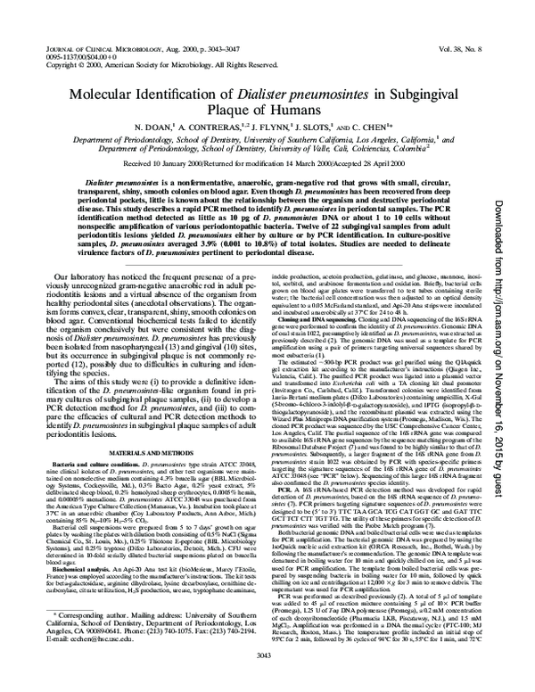 Molecular Identification of Dialister pneumosintes in Subgingival ...