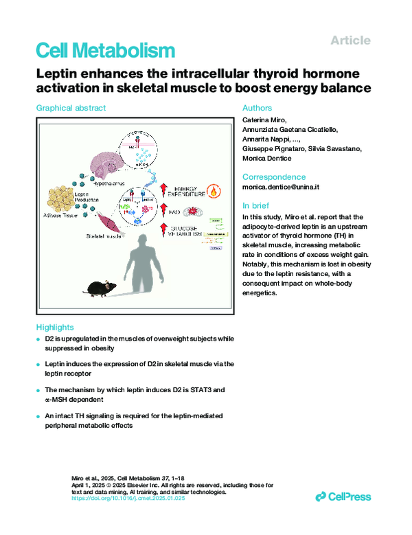(PDF) Leptin enhances the intracellular thyroid hormone activation in skeletal muscle to boost ...