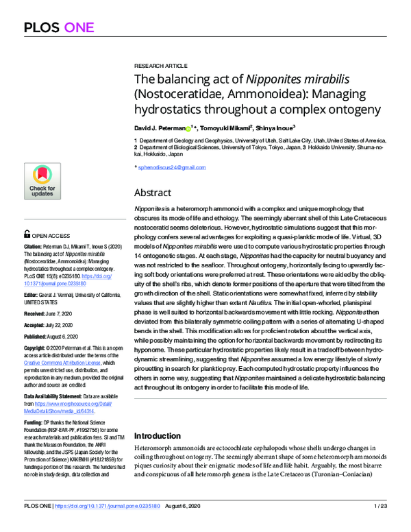 (PDF) The balancing act of Nipponites mirabilis (Nostoceratidae ...