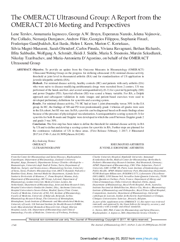 (PDF) The OMERACT Ultrasound Group: A Report from the OMERACT 2016 ...