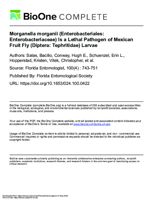 (PDF) Morganella morganii(Enterobacteriales: Enterobacteriaceae) Is a ...