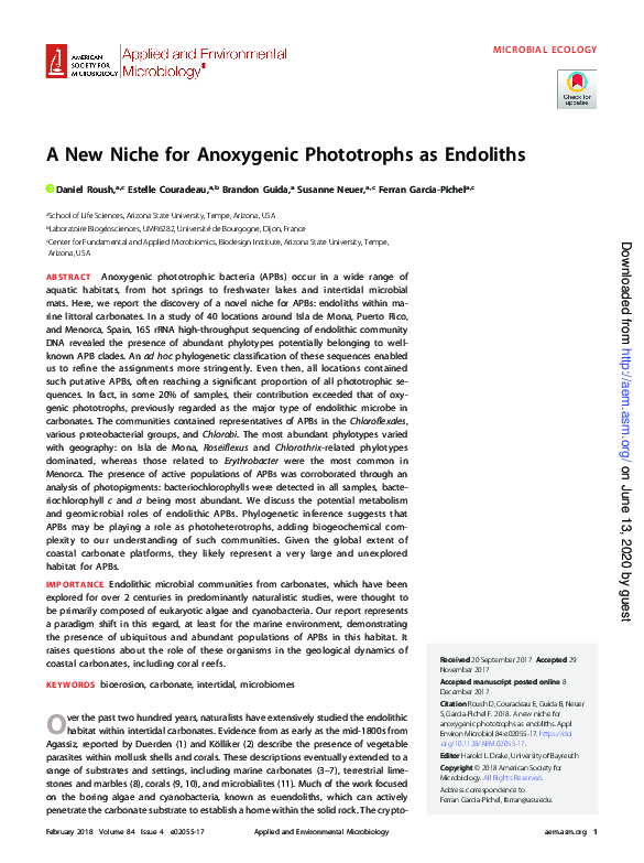 (PDF) A new niche for anoxygenic phototrophs as endoliths