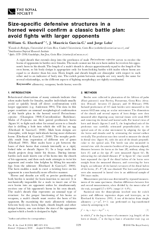 (PDF) Size–specific defensive structures in a horned weevil confirm a ...