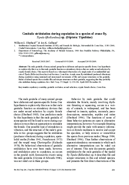 (PDF) Genitalic stridulation during copulation in a species of crane ...