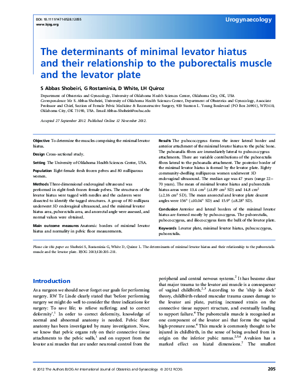 (PDF) The determinants of minimal levator hiatus and their relationship ...