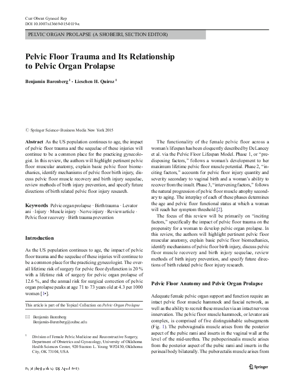 (PDF) Pelvic Floor Trauma and Its Relationship to Pelvic Organ Prolapse