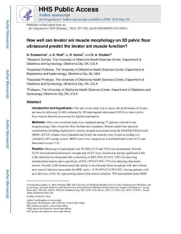 (PDF) How well can levator ani muscle morphology on 3D pelvic floor ...