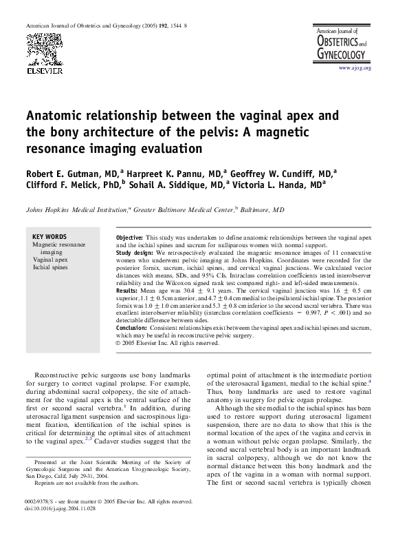 (PDF) Anatomic relationship between the vaginal apex and the bony ...