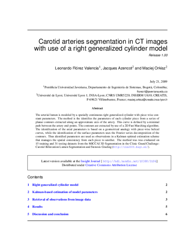 (PDF) Carotid arteries segmentation in CT images with use of a right ...