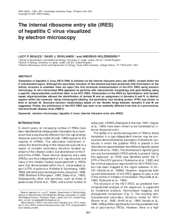 (PDF) The internal ribosome entry site (IRES) of hepatitis C virus ...
